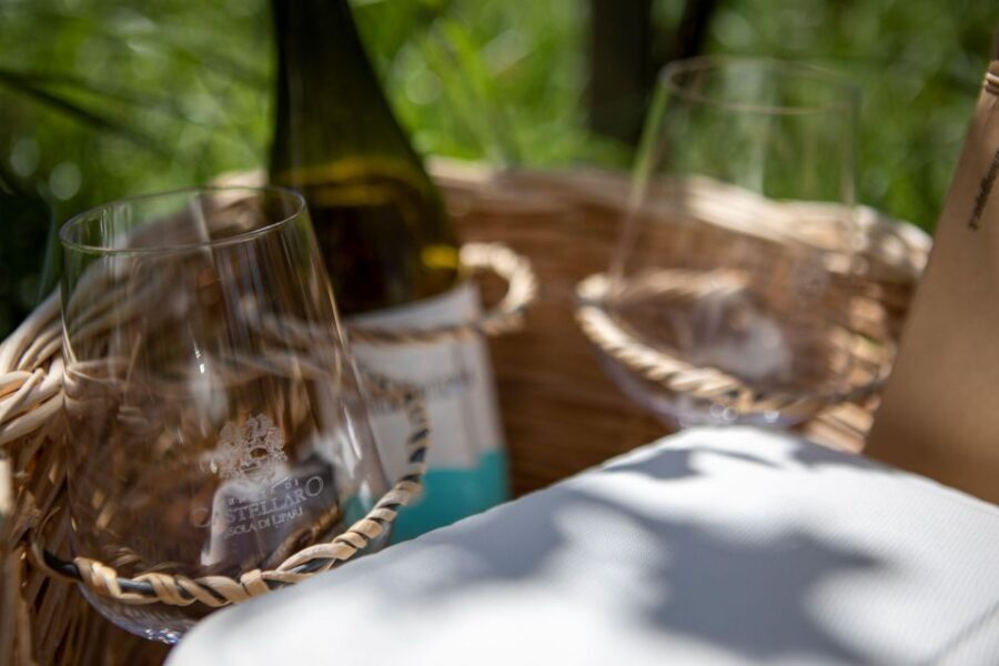 LIPARI WINERY - PIC NIC IN THE VINEYARD