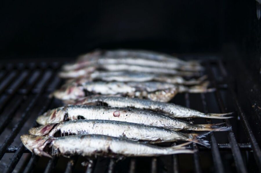 Lisbon: Cruise to the Beach with BBQ, Open Bar and Music