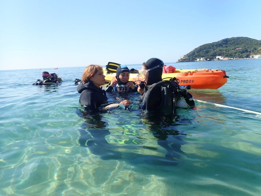 Lisbon: Try Dive in Arrábida Marine Reserve Setubal Sesimbra