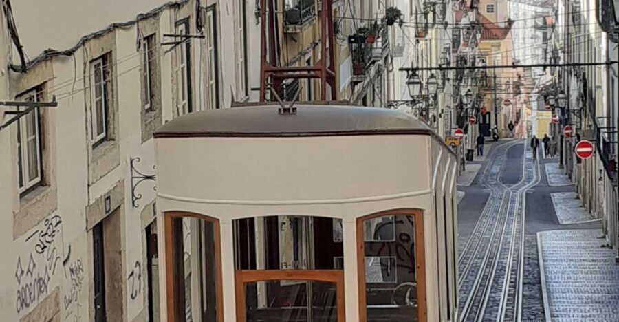 Lisbon Tuk Tuk Tour through the 7 hills - Who Is This Tour Best For?