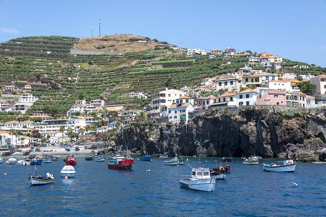 Living Sea Boat Trip in Madeira from Funchal