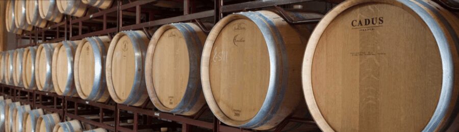Llucmajor: Bodegas Bordoy Wine Tour