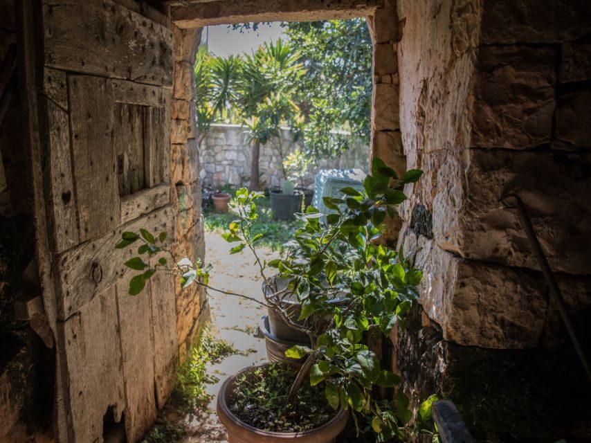 Locorotondo: Guided E-bike Tour with Olive Oil Tasting