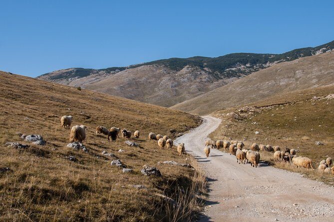 Lukomir Village Tour - From Sarajevo - Transportation and Logistics