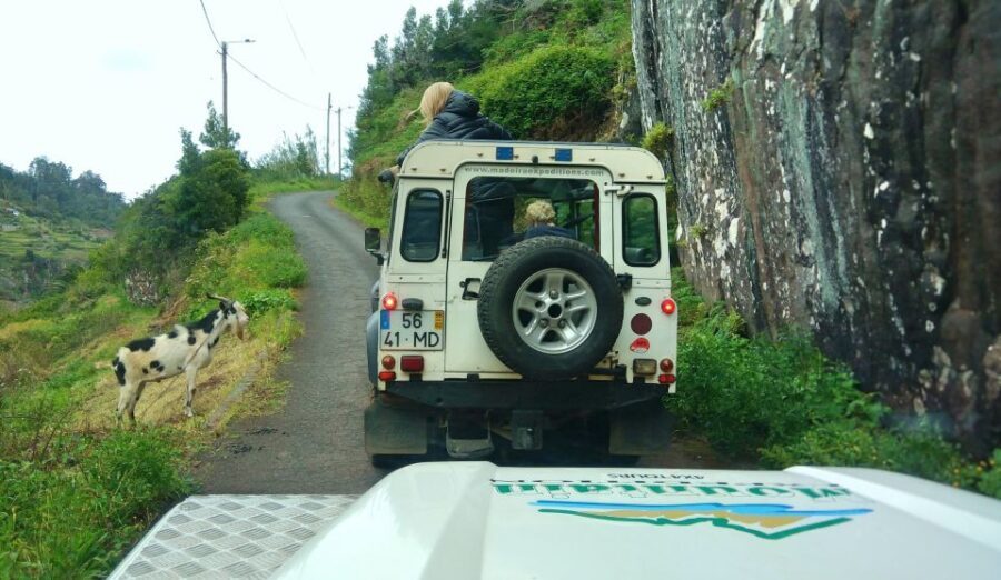 Madeira: Mini-Combo East Challenge: Jeep Safari + Levada - What’s Included and What to Keep in Mind