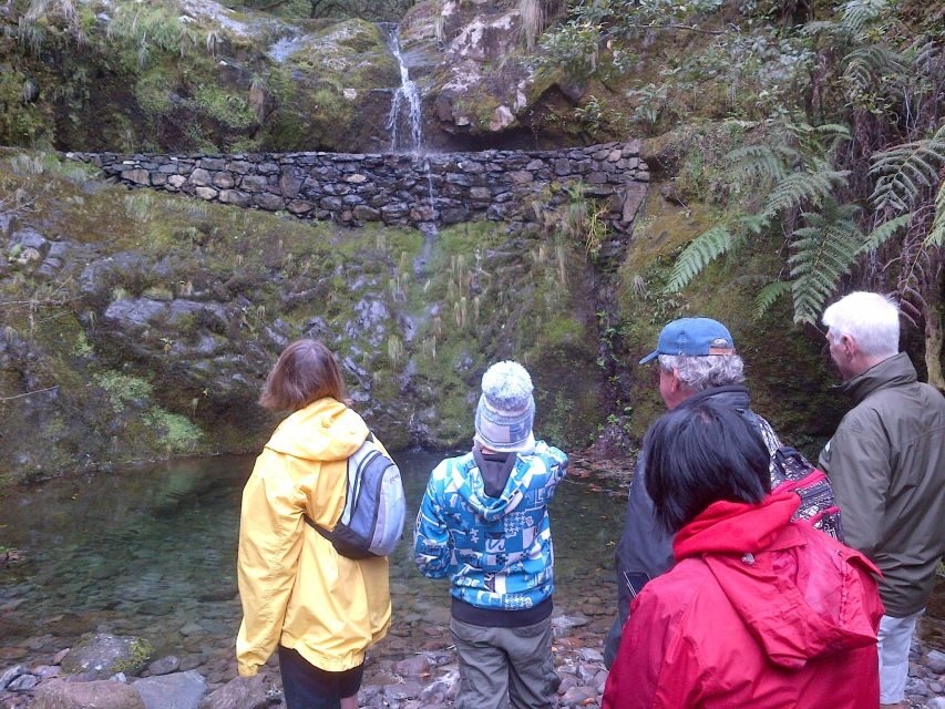 Madeira: Ribeiro Frio to Portela 4-Hour Guided Walk - An In-Depth Look at the Guided Walk from Ribeiro Frio to Portela