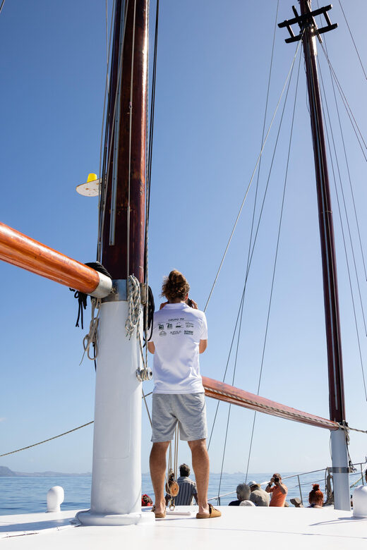 Madeira : Whales and Dolphins wooden boat excursion