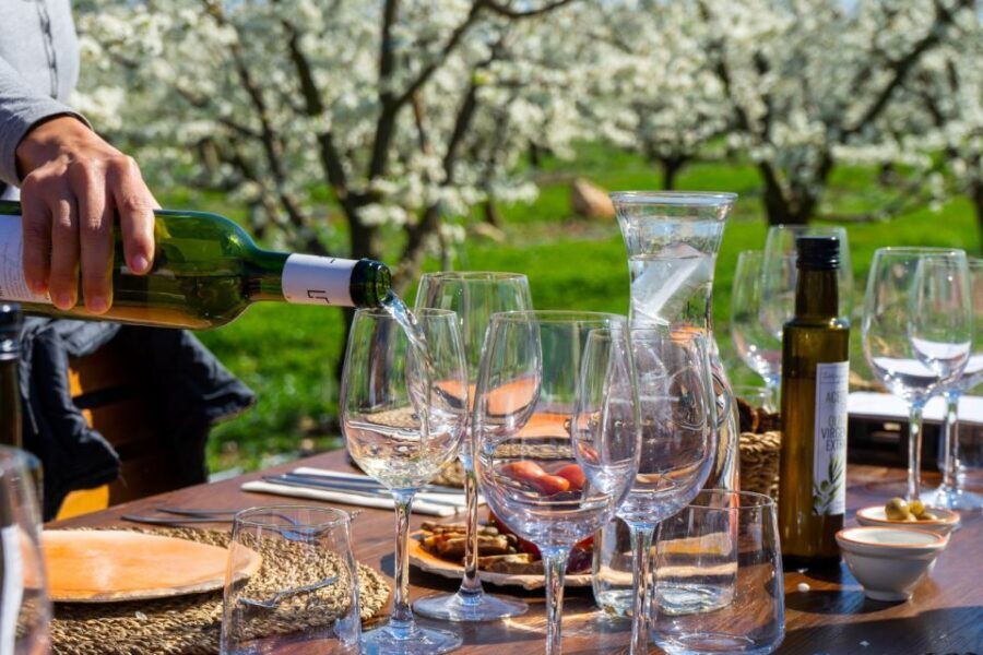 Mallorca: Full-Day Winery Small Group Tour