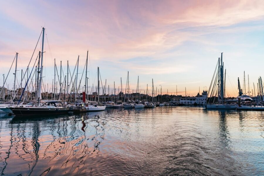 Mallorca: Midday or Sunset Sailing with Snacks and Open Bar
