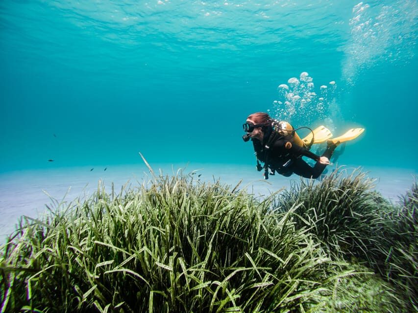 Mallorca: Try Scuba Diving by Boat