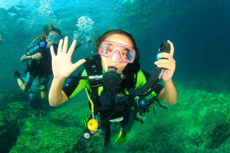 Mallorca: Try Scuba - try diving from a boat with an SSI instructor
