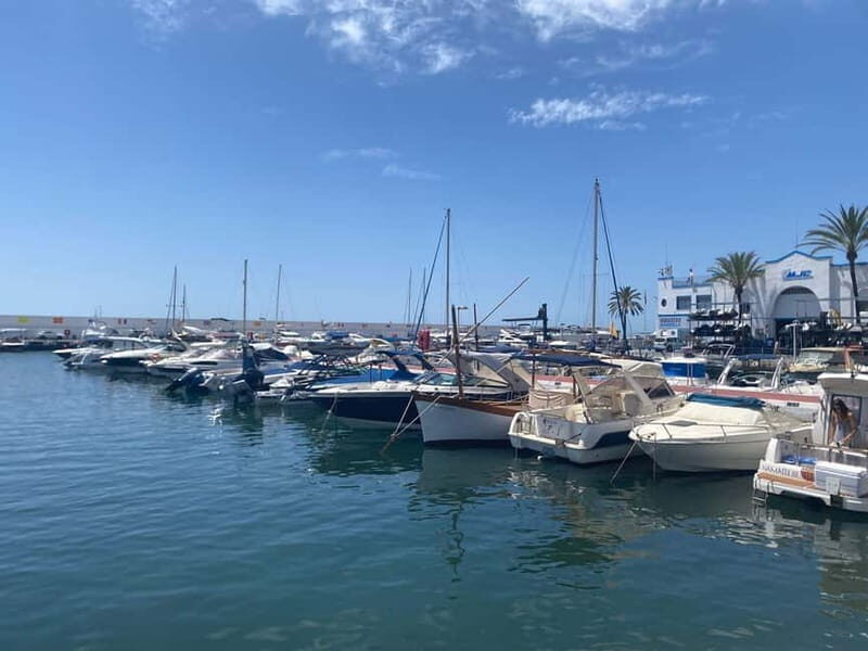 Marbella: Exclusive private premium bike tour to Puerto Banus