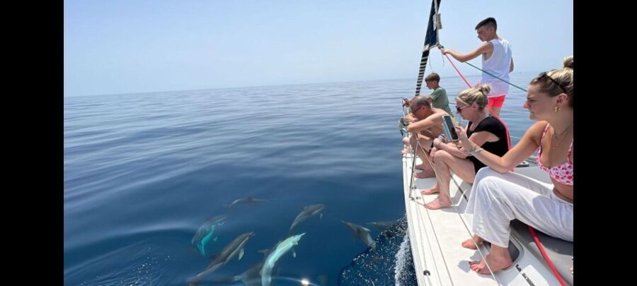 Marbella: Private sailing tour with drink and snack ,3 hour