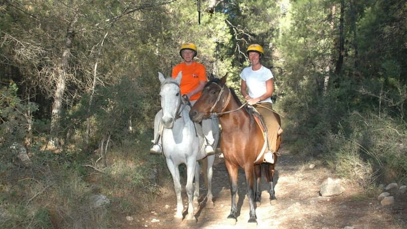 Marmaris: Horse Riding & Safari with Hotel Transfer