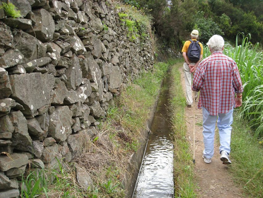 Maroços / Mimosa Valley - Levada Walk - Who Should Consider This Tour?