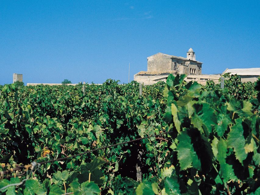 Marsala: Winery Tour with Wine Tasting and Local Products