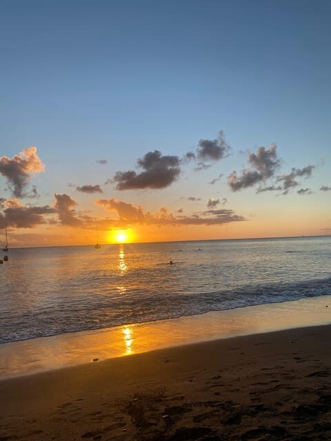 Martinique: Private Tour with Local Guide - Authentic Experiences and Valuable Insights