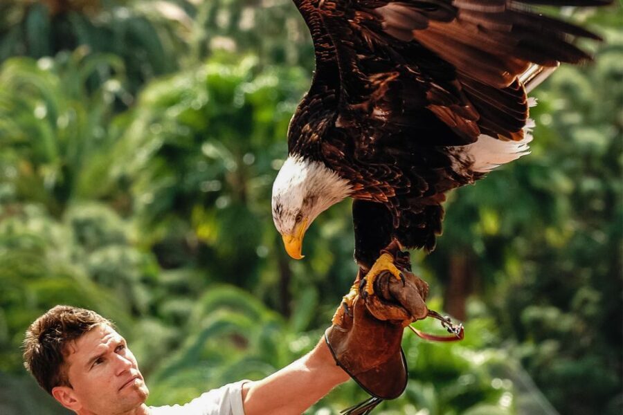 Maspalomas: Palmitos Park Ticket with Dolphin and Bird Shows - FAQ