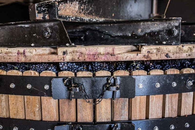Meunier Champagne Experience tour - Passy-Grigny