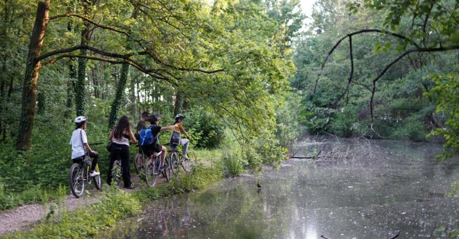 Milan: Bike Tour with Picnic on the turtle lake