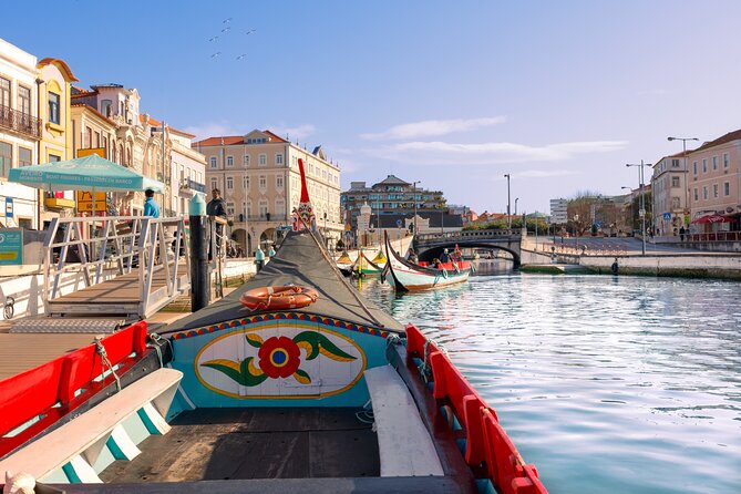 Moliceiro Boat Tour on the Ria de Aveiro - Introduction