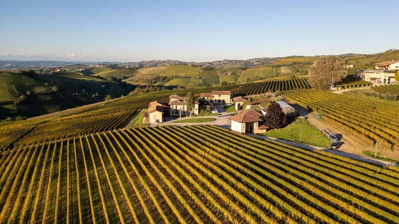Monforte d'Alba: 7 glasses of Langhe with visit to Winery and Vineyards
