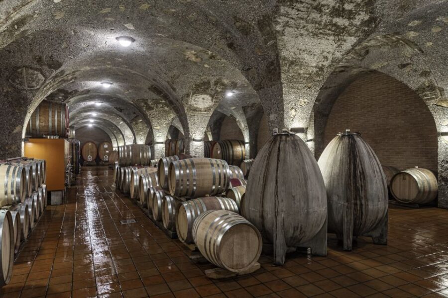 Montalcino: Backstage Brunello & Gourmet Wine-Food Tasting