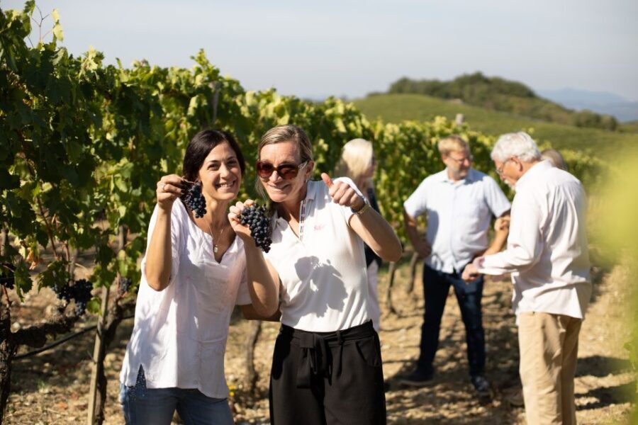 Montalcino: Guided Winery Tour and Wine Tasting