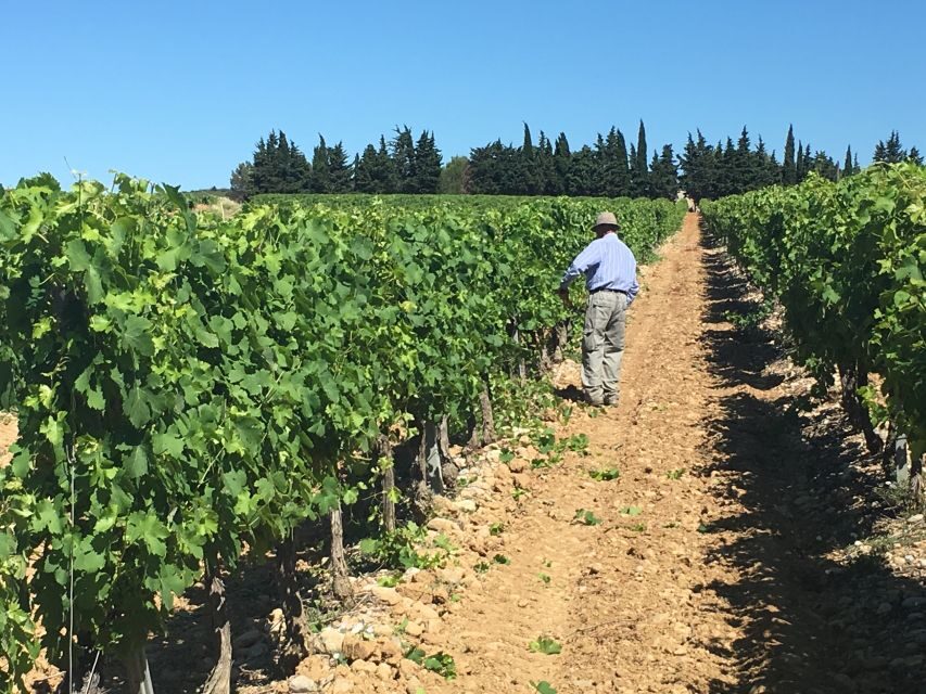 Montpellier Wine and Oyster Tour