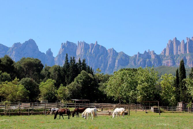 Montserrat Horseback Riding & Monastery Small Group Tour - Potential Drawbacks to Keep in Mind