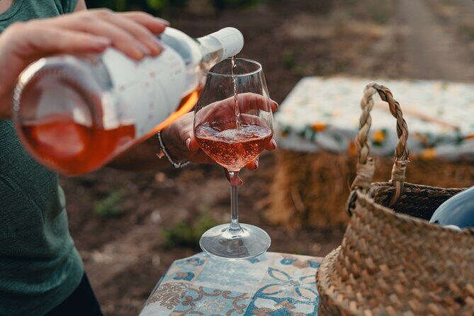 Morigine Wine Lovers-Aperitif in the Vineyard at Sunset - What to Expect During the Tour