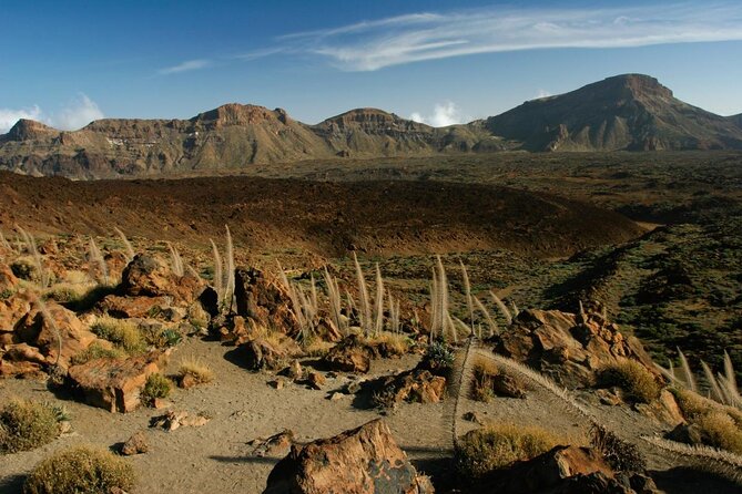 Mount Teide and Tenerife North with 5 Course Tasting Menu Private Tour - Exploring the Best of Tenerife: Mount Teide and the North with a Culinary Touch