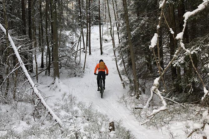 Mountain Biking Small-Group in Stockholm Forests for Beginners