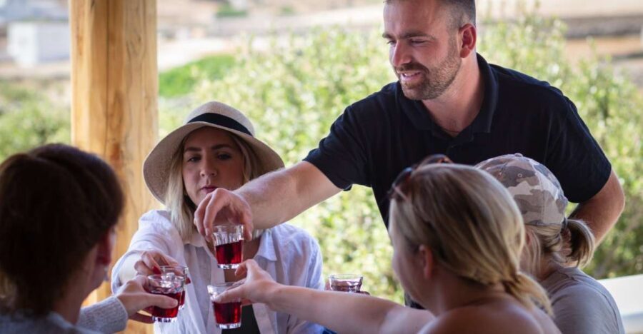 Mykonos: Winery Vineyard Experience with Food & Wine Tasting