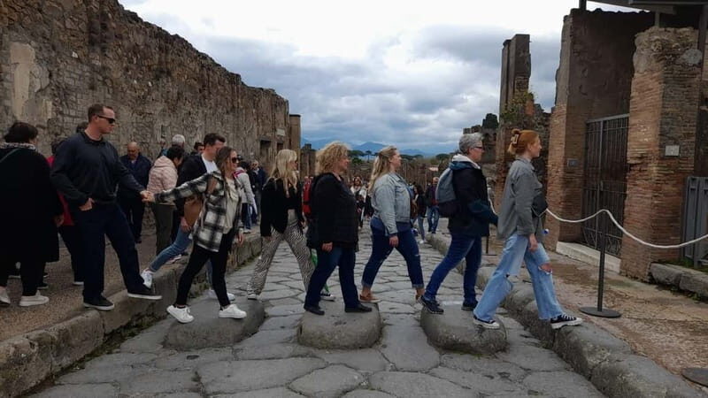 Naples: Pompeii & Herculaneum Tour w/Lunch and Wine Tasting