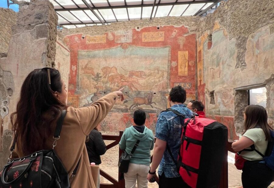 Naples: Pompeii & Mt. Vesuvius Day Trip with Tickets & Lunch