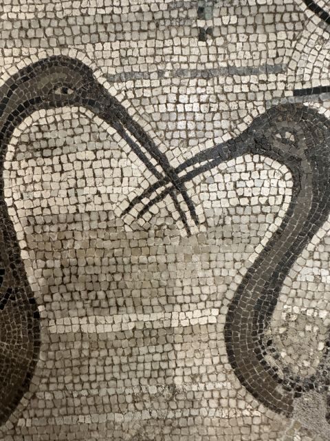 National Archaeological Museum of Naples Private Guided Tour