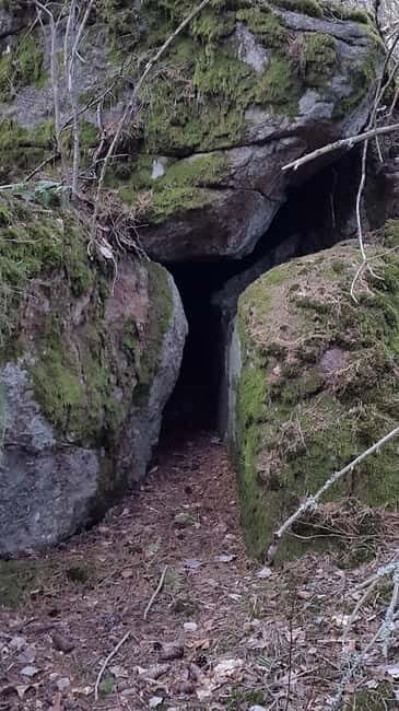 Nature Hike from Stockholm