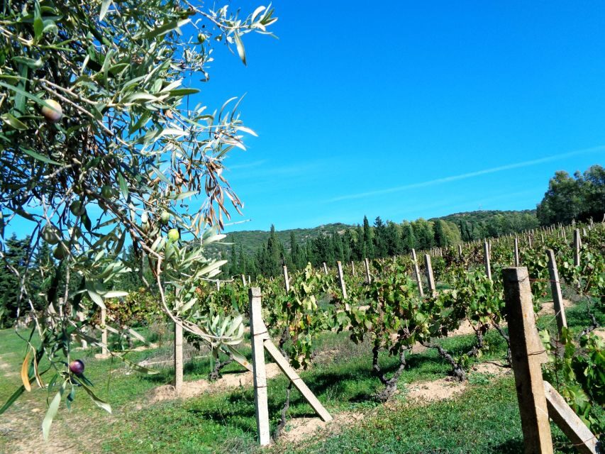 Near Cagliari: The World of Natural Wine at "In Our Garden"