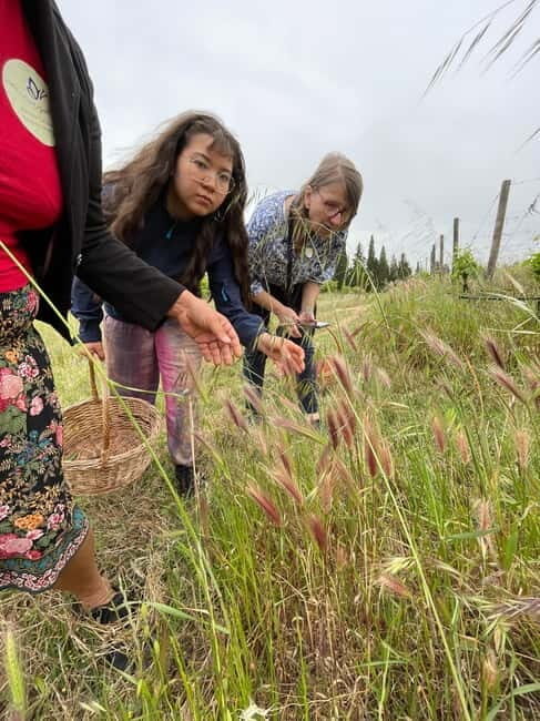 Near Cagliari: Wild Herbs and Healing at "In Our Garden" - A Closer Look at the Experience