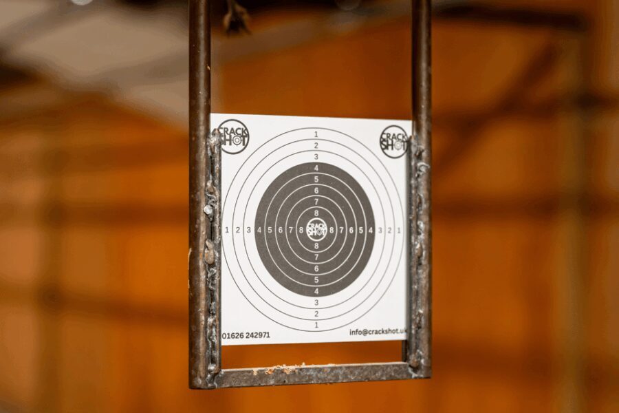 Newton Abbot: Rifle and Simulator Combo Package