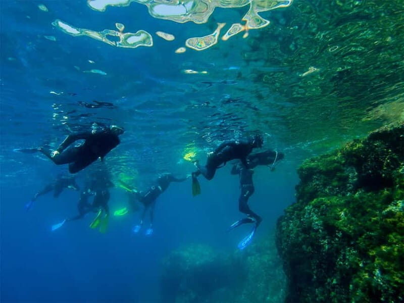Nice: Snorkeling Speedboat Tour in Villefranche Bay