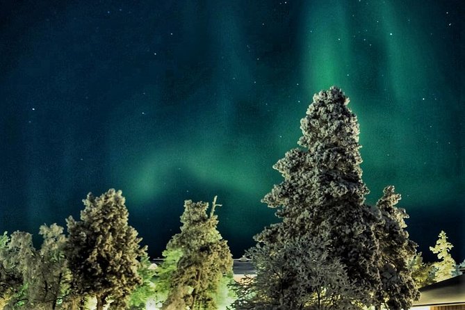 Northern Lights Hunting with Snowmobiles - Exploring the Northern Lights Hunting with Snowmobiles Tour in Rovaniemi