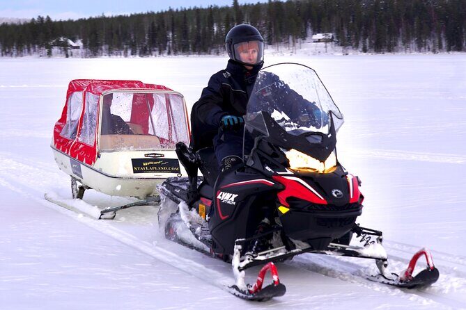 Northern Lights Tour Sleigh Ride - Who Should Consider This Tour?