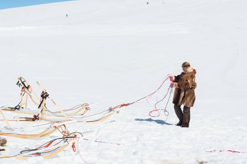 Norway: Half Day Dog Sledding on the Folgefonna Glacier