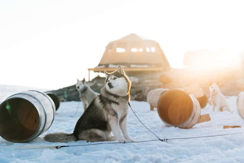 Norway: Overnight Stay at Glacier Campsite