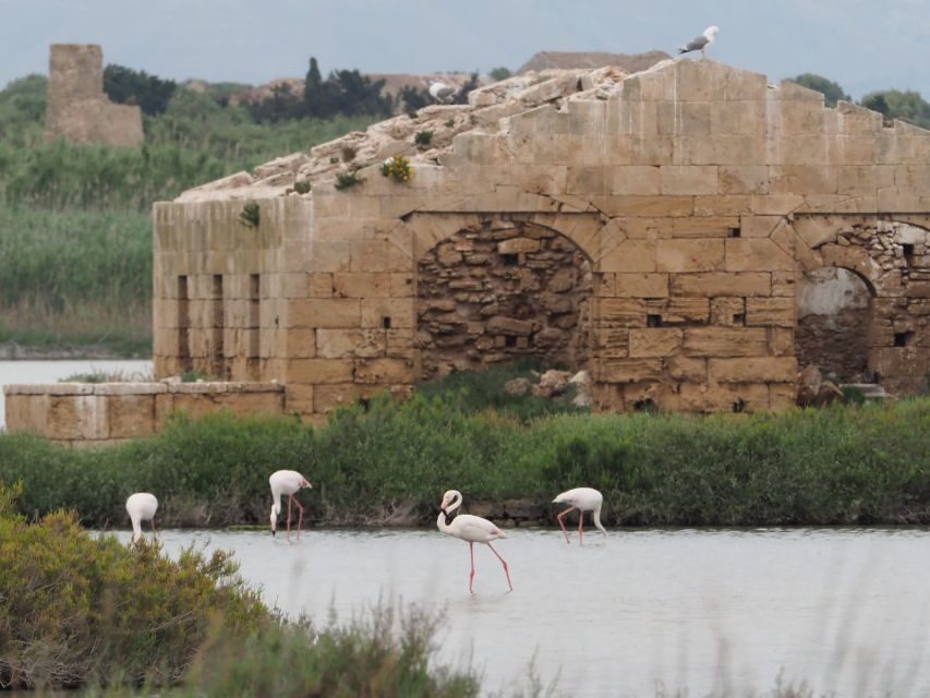 Noto: Guided trekking and birdwatching at Vendicari Reserve - A Closer Look at the Itinerary