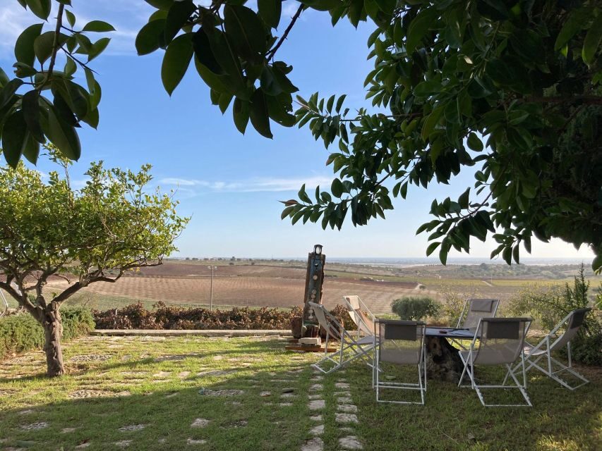Noto: Wine Tasting and Estate Tour with Local Products