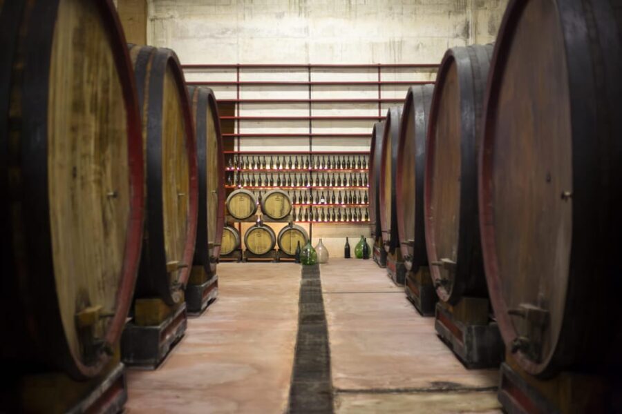 Offida: Tasting itinerary of Rosso Piceno DOC Superiore