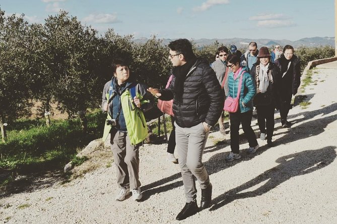 Olive Oil Experience - Olive Oil Experience: A Hands-On Taste of Sicily’s Liquid Gold